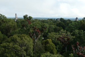 Map of Tikal Guatemala | The Independent Tourist
