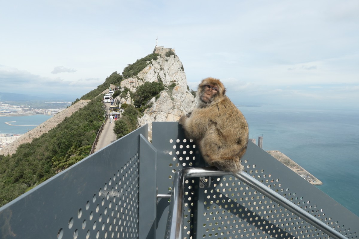 Gibraltar – Making the Most of a One-Day Visit | The Independent Tourist